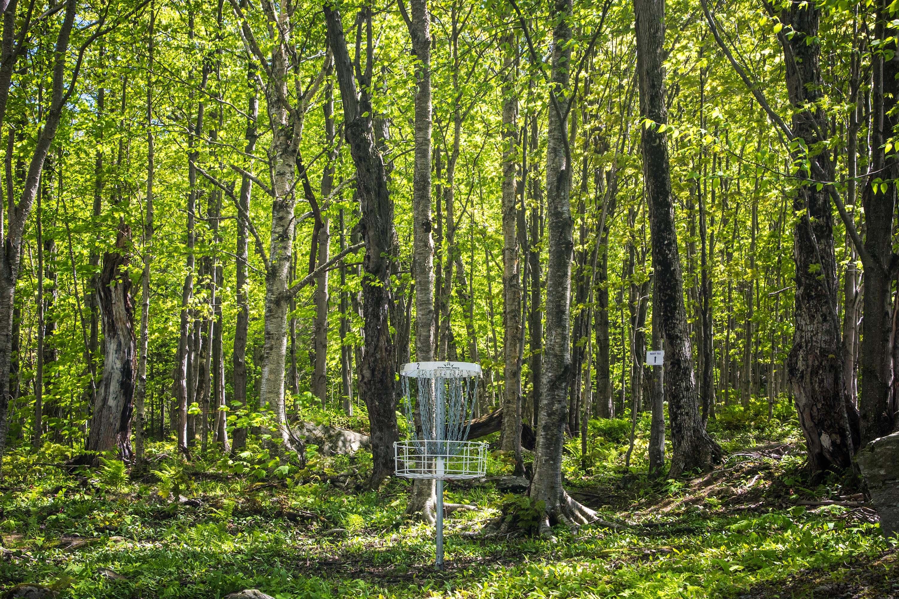 Disc Golf | Jay Peak Resort