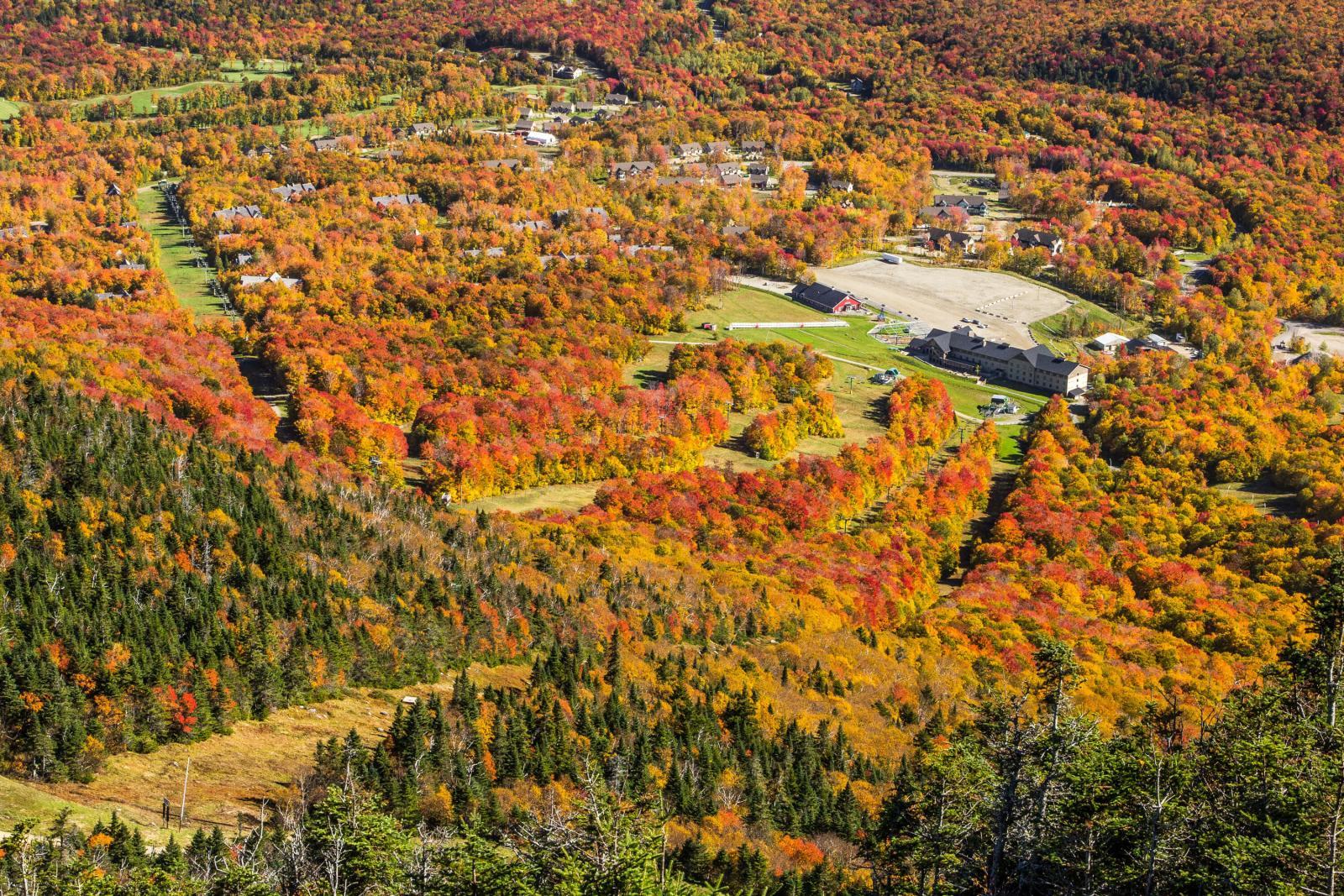 Tram Rides | Jay Peak Resort
