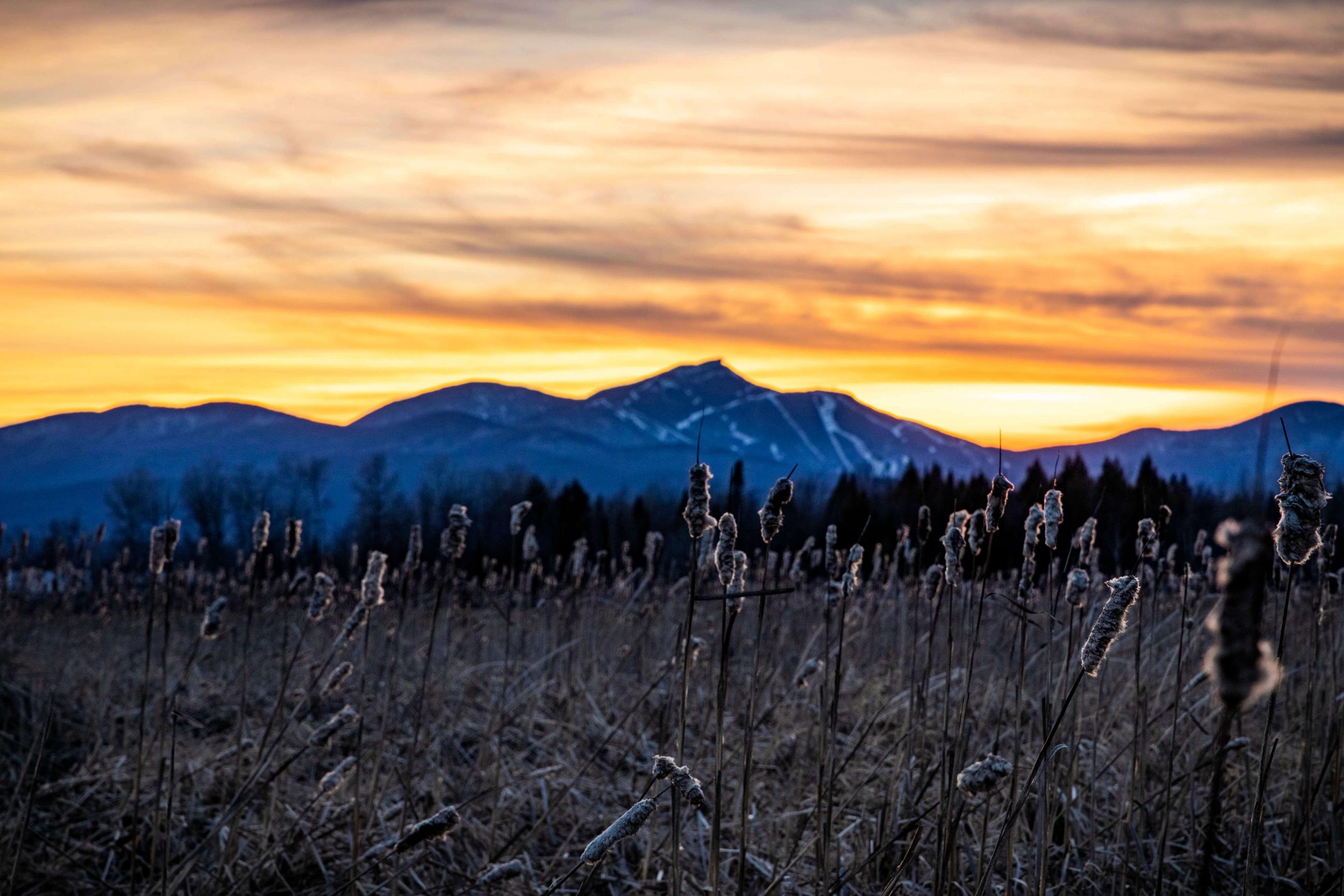 At Jay Today | Jay Peak Resort